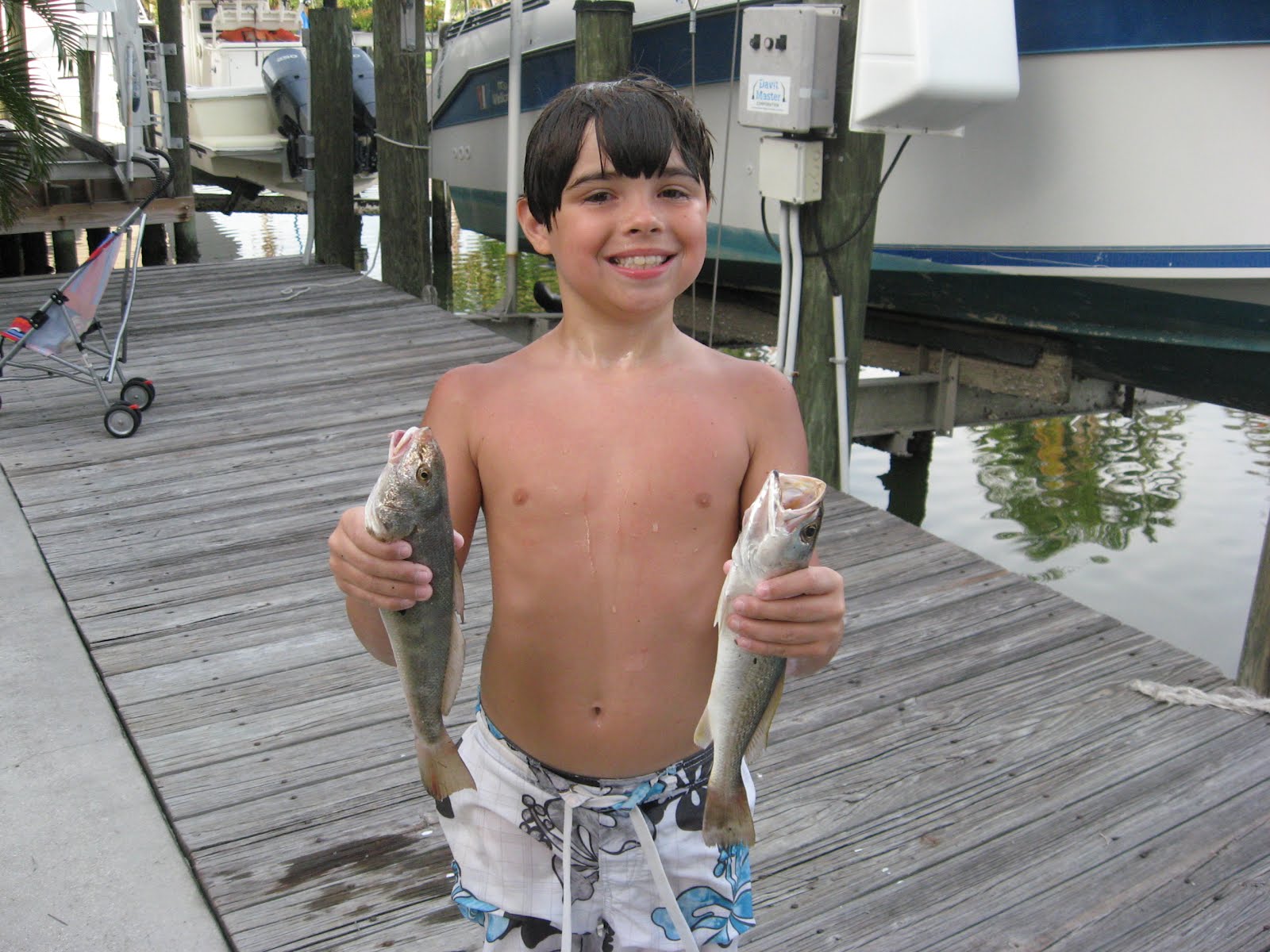 Saltwater Fishing Tips for the South: Saltwater Fishing Tips: Whiting
