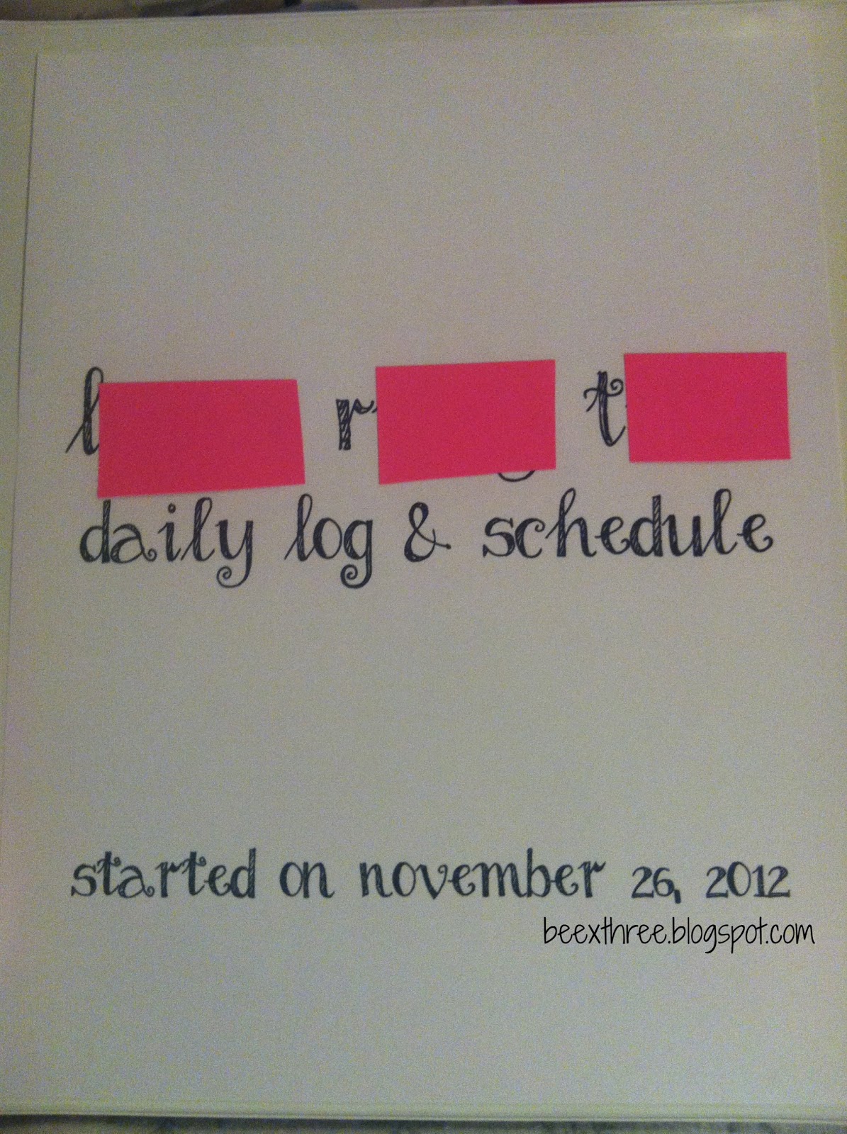 Three B's: Nanny Life: Daily Log Binder