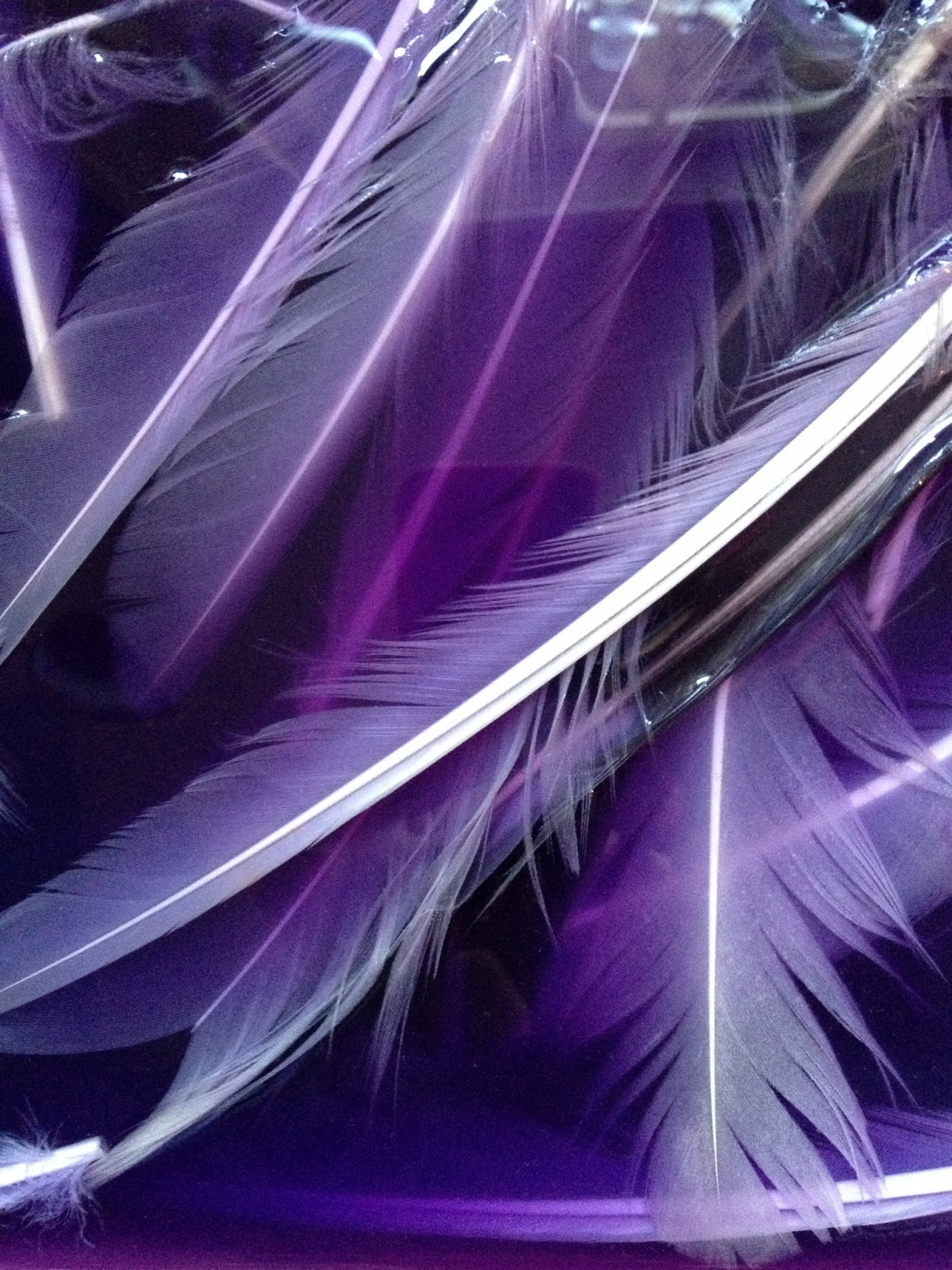 Me and my shadow: How to dye feathers