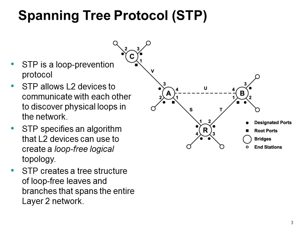 Networking And Scripting : Spanning Tree Protocol :PPT
