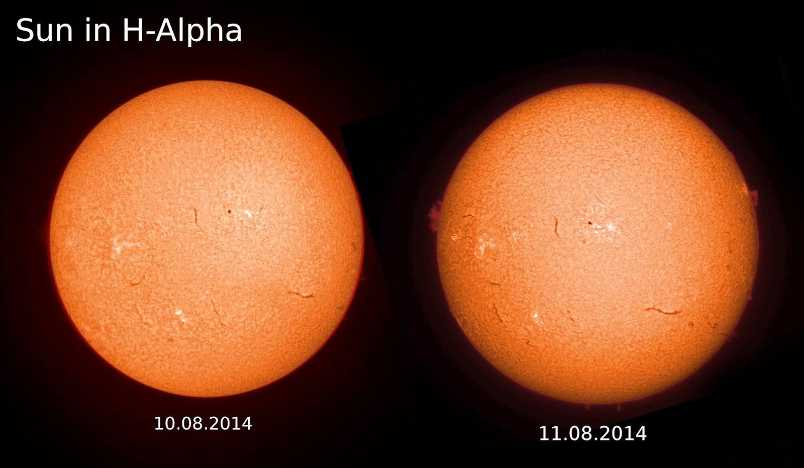 Sun In H-Alpha On August 10 and 11, 2014 - AstroMadness.com