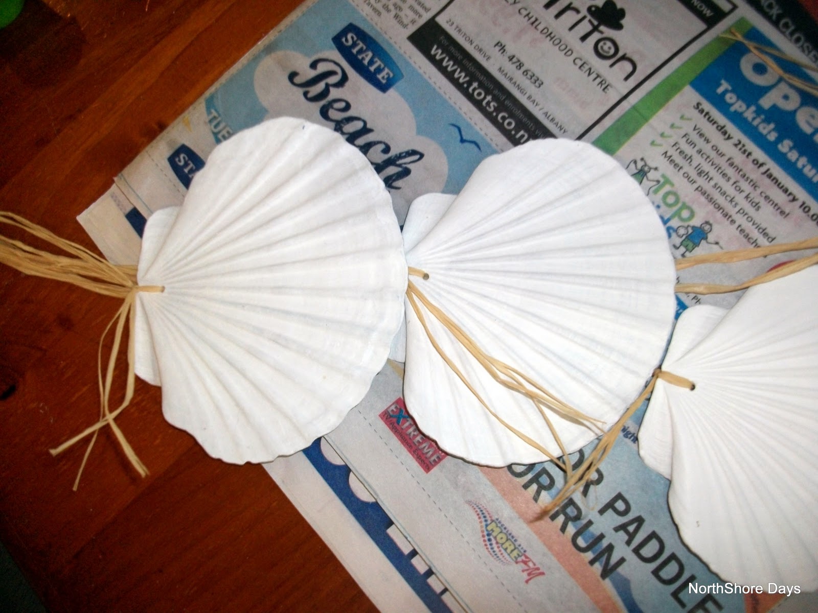 NorthShore Days.....: Beautiful Hanging Shells....