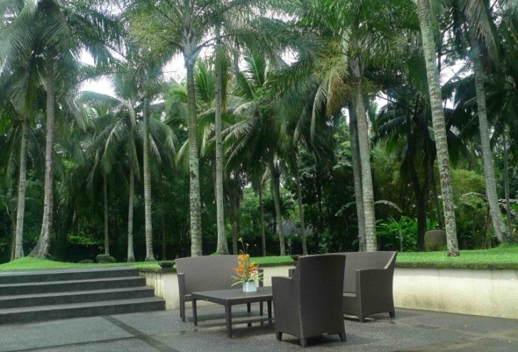 The Farm At San Benito, Batangas ~ Award-Winning Health Resort (Medical ...