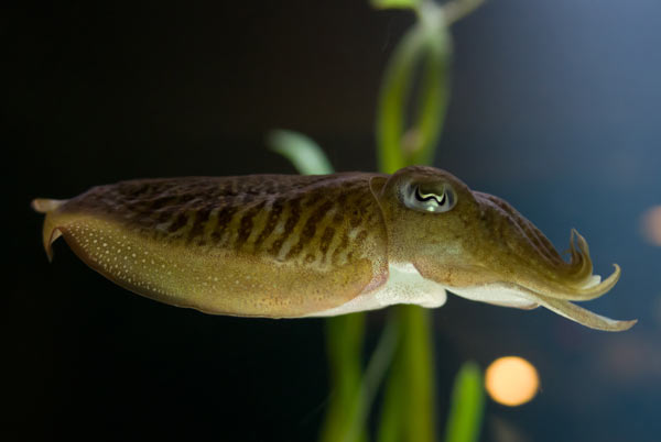 Exhibit Galleries Blog