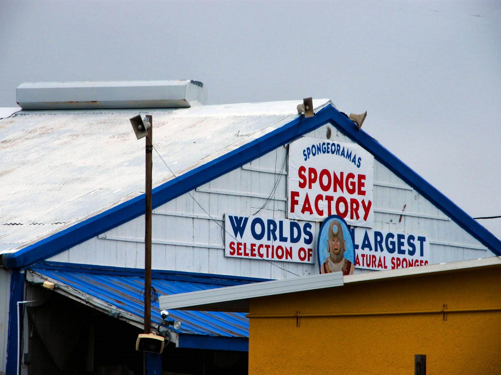 My Fort Myers Beach, My Florida: Tarpon Springs