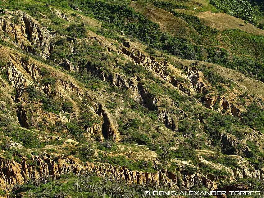 VISION TORRES - IMAGENES DE NUESTRO MUNDO: LOS VALLES SECOS DE MÉRIDA ...