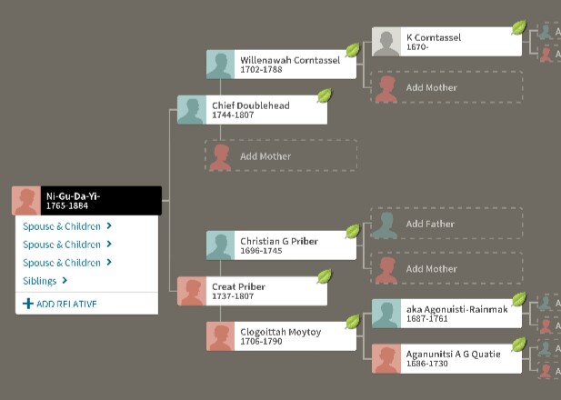 Roots & Recombinant DNA: Admixture Centrifuge: Cherokee DNA