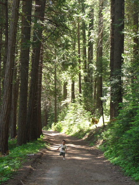 Where to Go in Yosemite With Kids: Wawona Meadow Loop - GoExploreNature.com