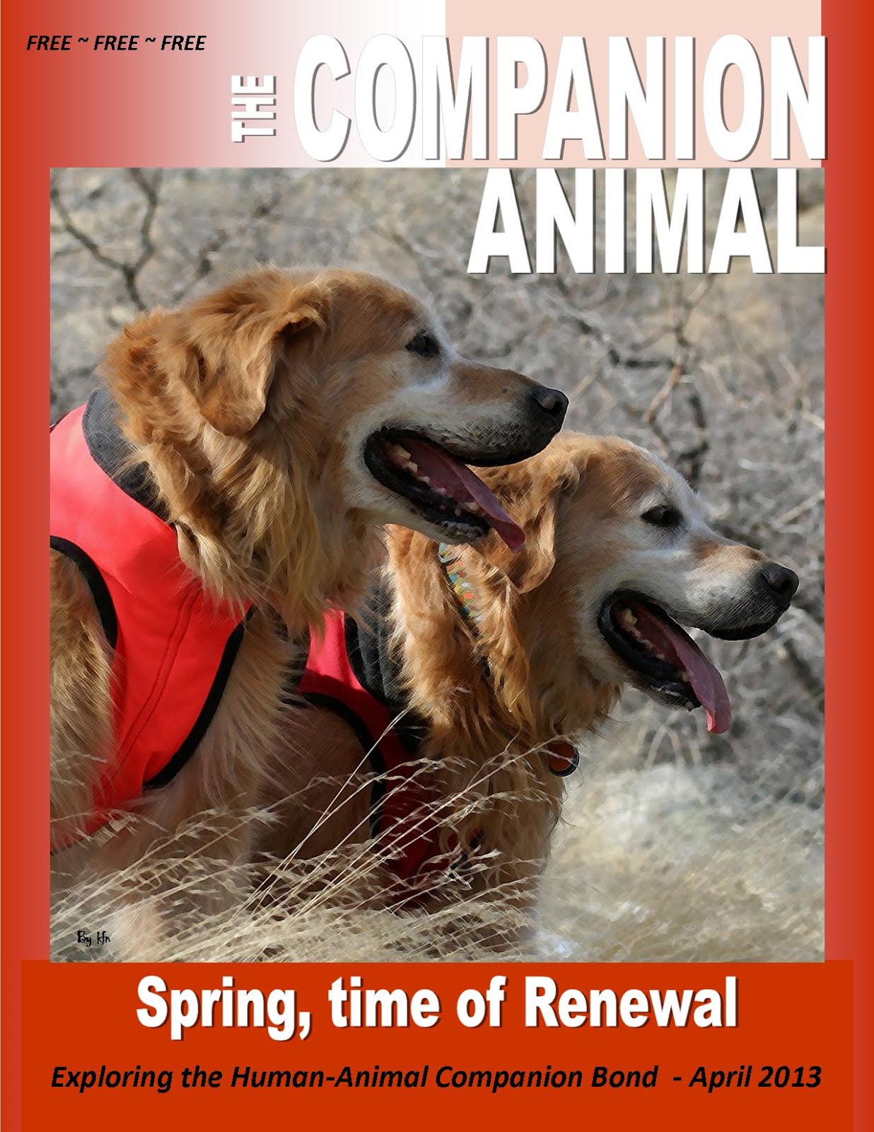 The Companion Animal Magazine