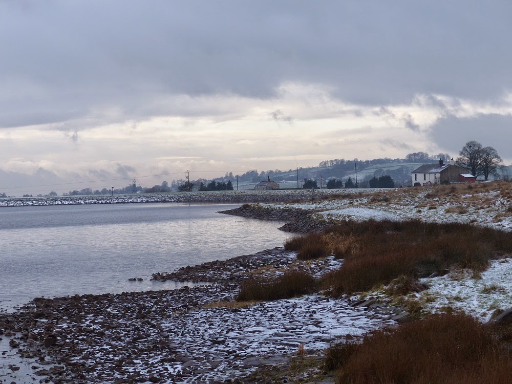 A Field Notebook: Great Northern Diver, Parsonage Reservoir, Blackburn