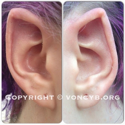 Olive Elf: Ear pointing 101- My Experience