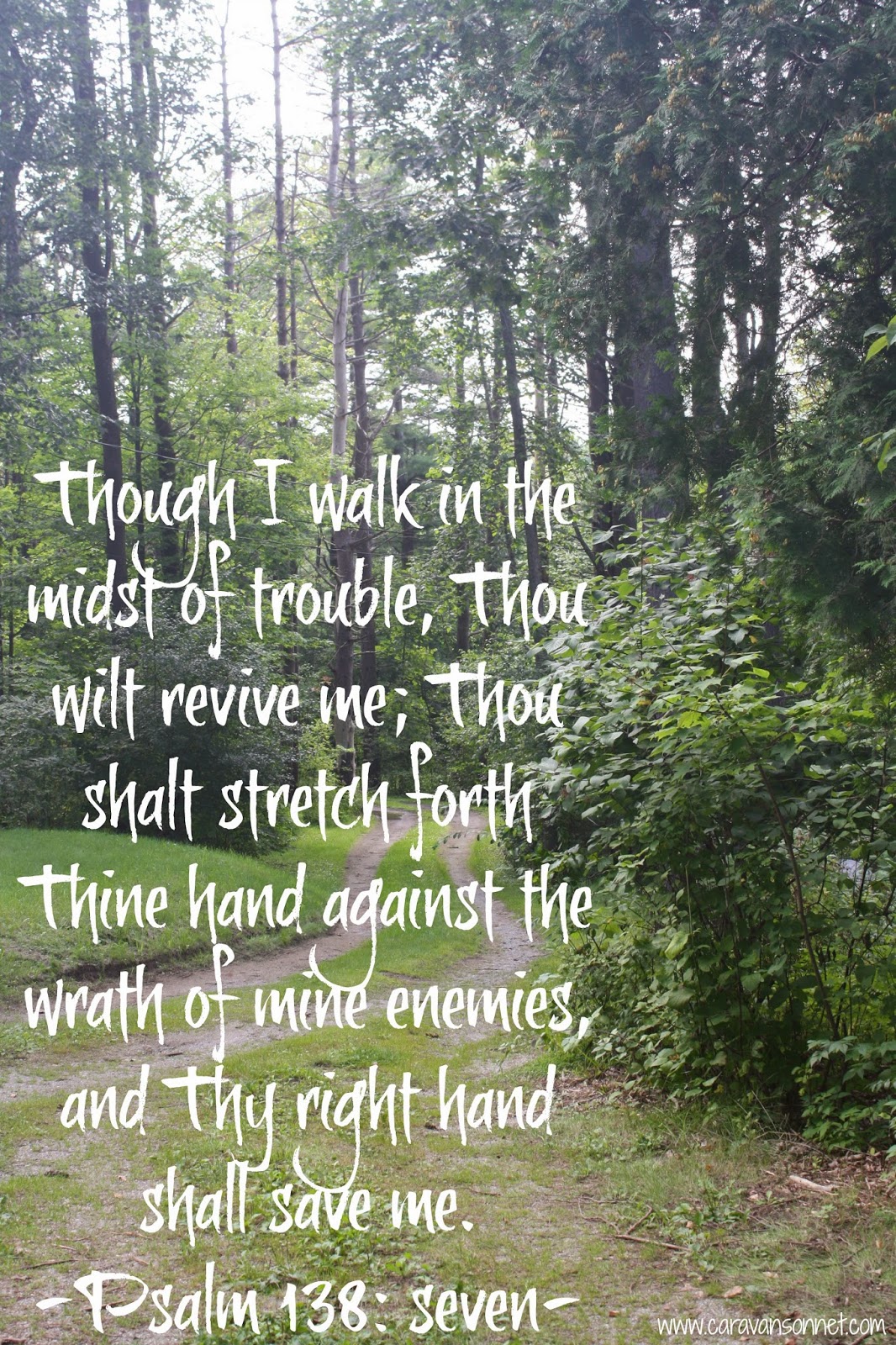 Psalm 138 7 Devotional Caravan Sonnet Bloglovin 