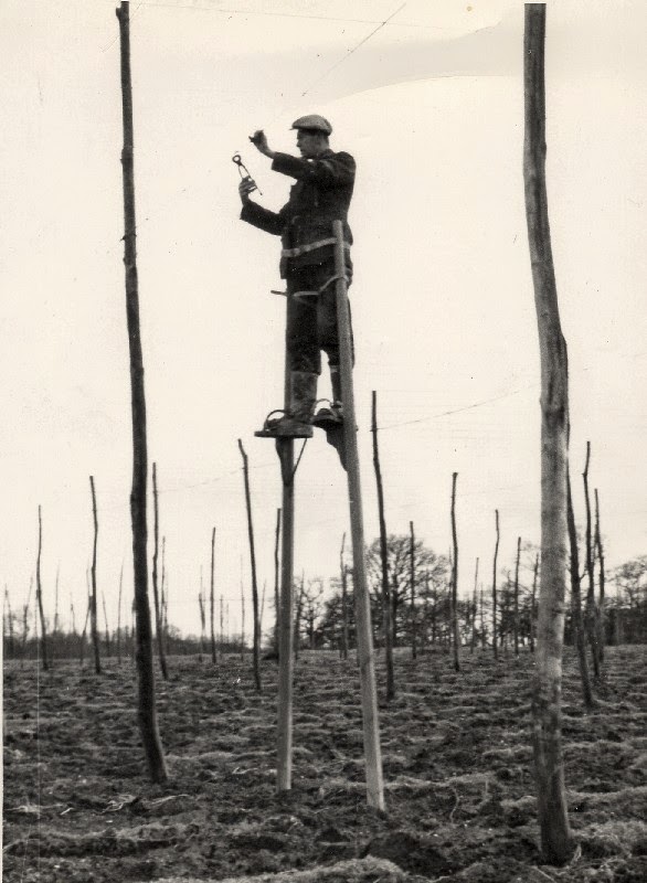 Dizzy's Wanderings & Wonderings: Wondering About Stilts.