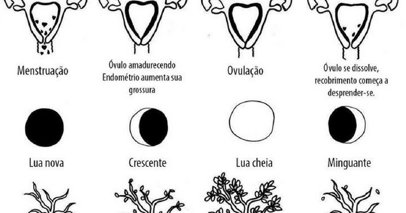 In the Shadow of my Heart: As fases da LUA e o ciclo menstrual