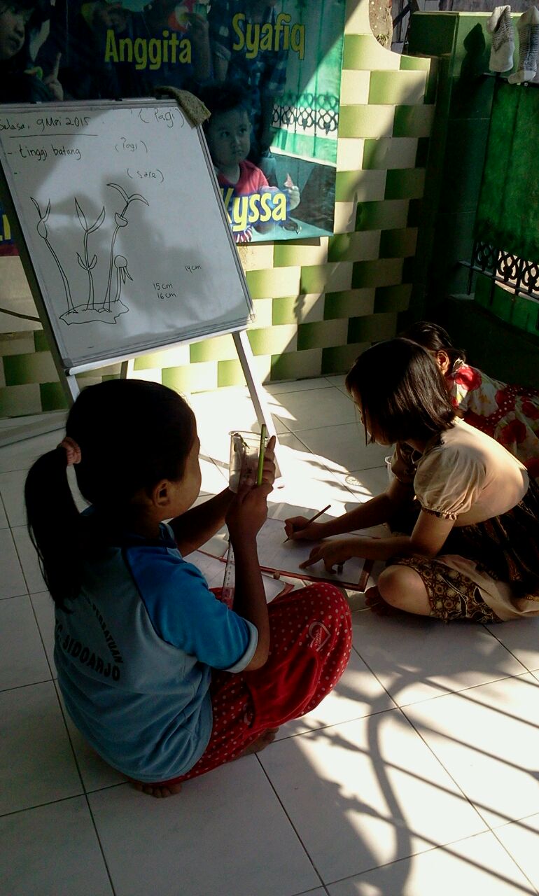 Mata Baru: Mengamati Perkecambahan