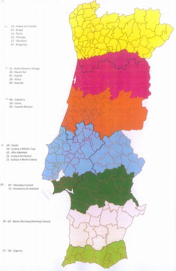 PROFESSORES LUSOS: A proposta ministerial para os novos QZP