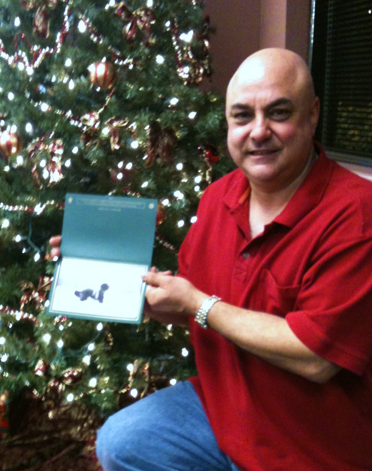 The Lu Lac Political Letter: The LuLac Edition #2298, December 17th, 2012