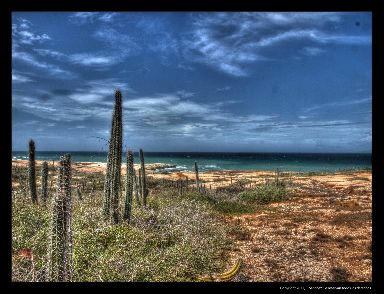 Francisco J. Sanchez A.: Parque Nacional Laguna de la Restinga