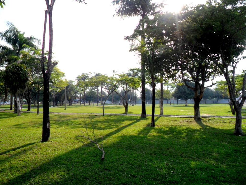 Ariquemes | Rondônia - Brasil | SkyscraperCity Forum