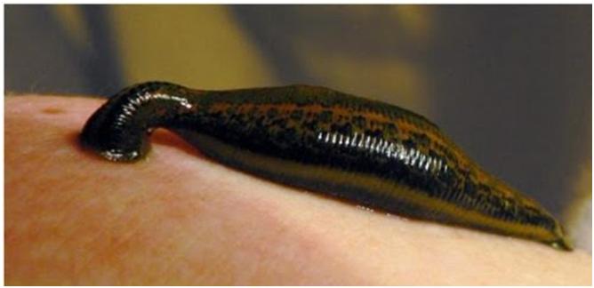 Juan Carlos Sedeño Mota: Resumen semanal N° 12 (25 al 29 de mayo) Clase ...