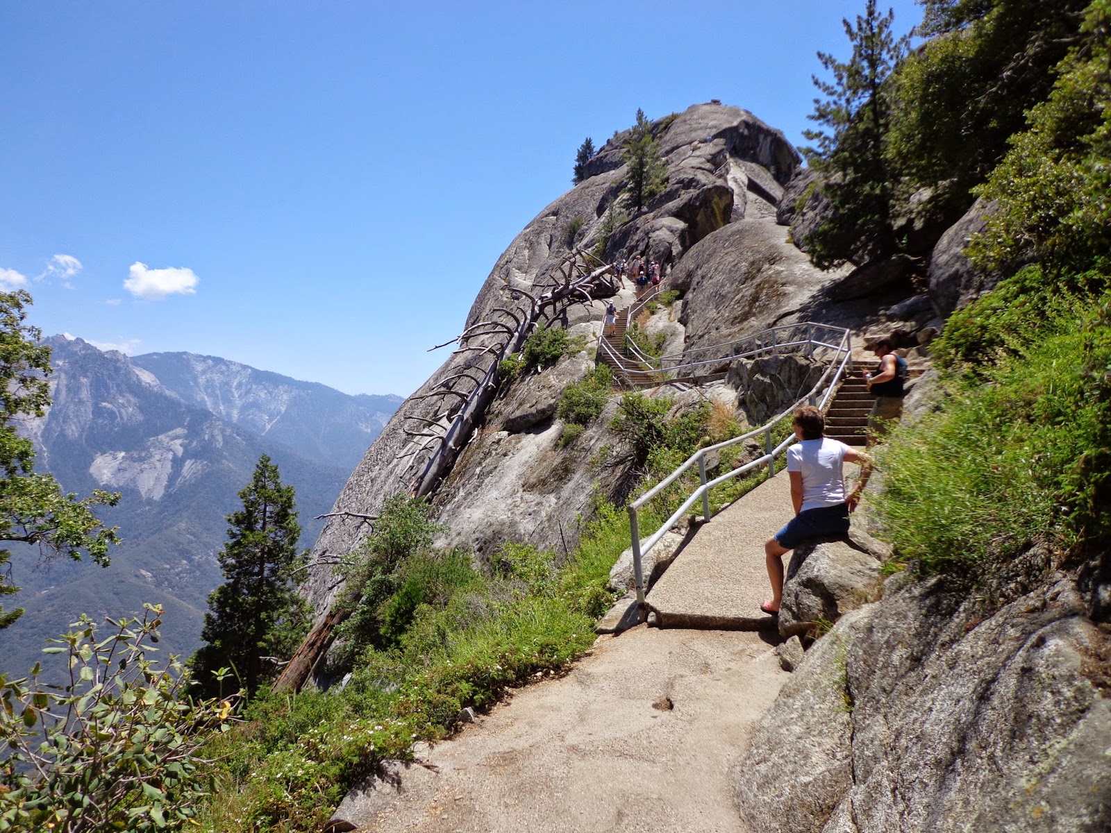 Mcmanusphotos: Sequoia National Park California