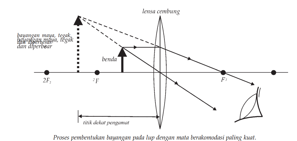 Analisis Alat-Alat Optik Lup atau Kaca Pembesar
