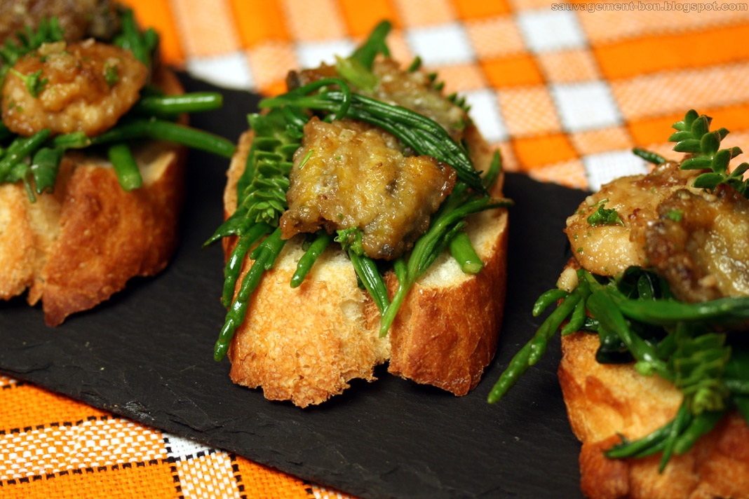 Sauvagement-Bon: Patelle ... suite