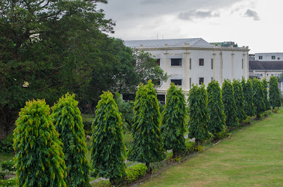 Iloilo: The Lopez Mansion - Nelly Garden