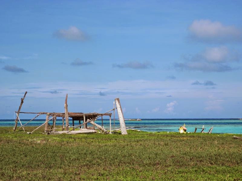 Océana 1: Islas de Aves, Venezuela (Photos)