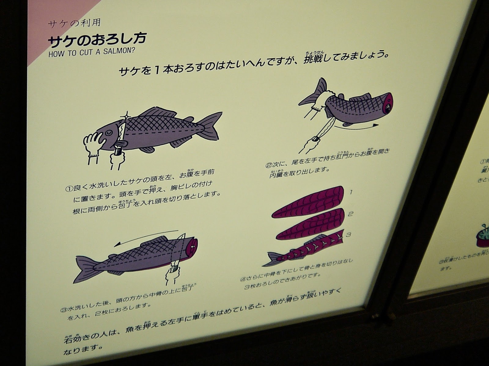 VIAJE DE LUNA.: JTB Monitor Tour course C : Shibetsu Salmon Park ...