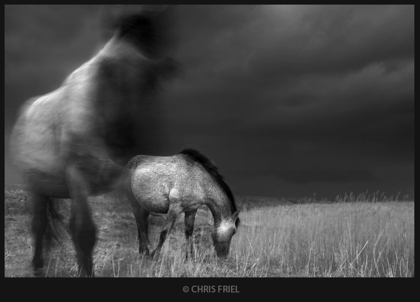 Elysian Thoughts: Shutter Speed/Abstract - Chris Friel