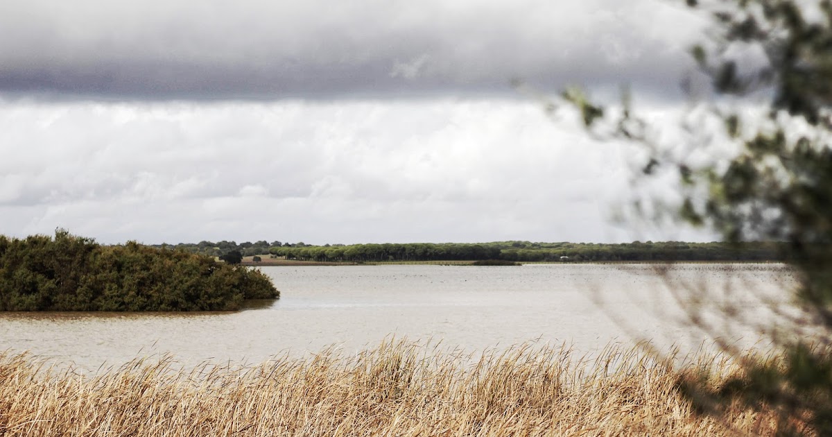 Ruta por el Aljarafe Sevillano — kidsandchic