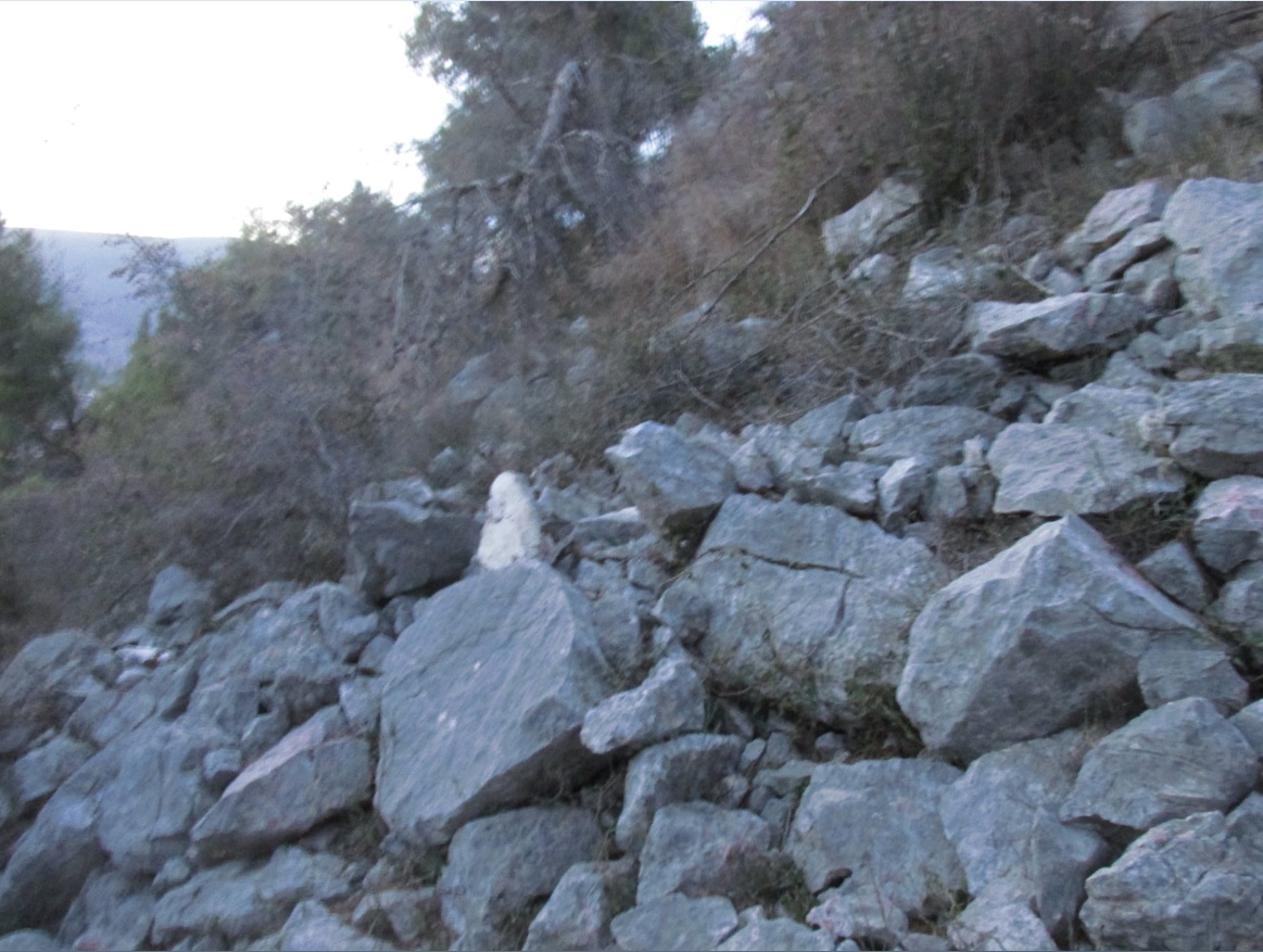 NEVJEROJATNO: OGROMAN ILIRSKO-HELENISTIČKI GRAD DREVNIH DAORSA KRIJE SE ...