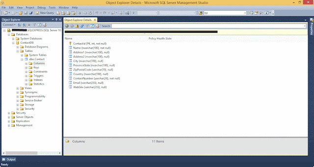 Asp Core 1 0 Mvc Application Exploring Core Crud