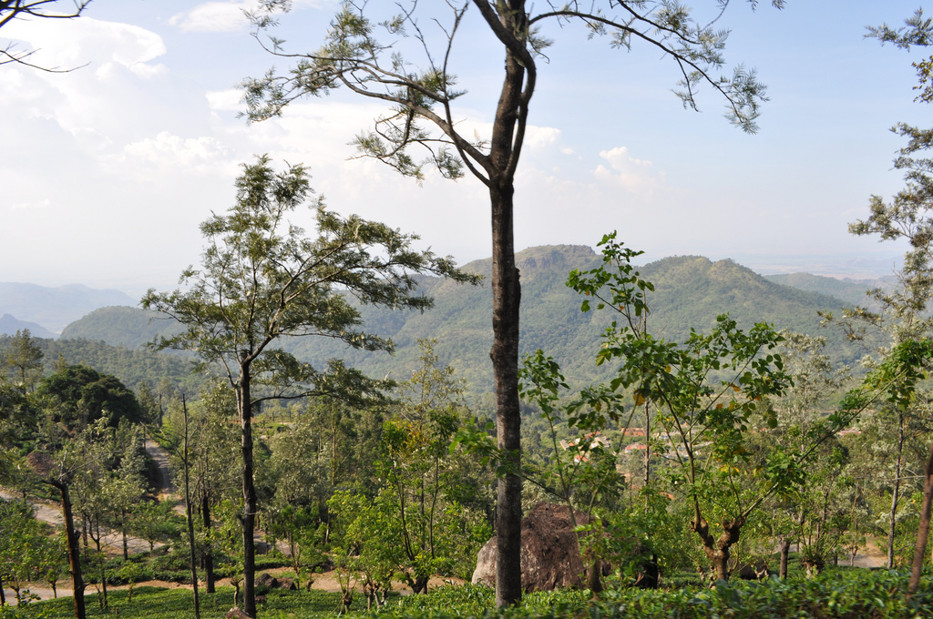 Tamilnadu Tourism: Manjolai Hills, Thirunelveli