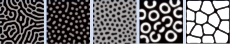 The Laughing Mathematician: Mathematical biology. Motivation.