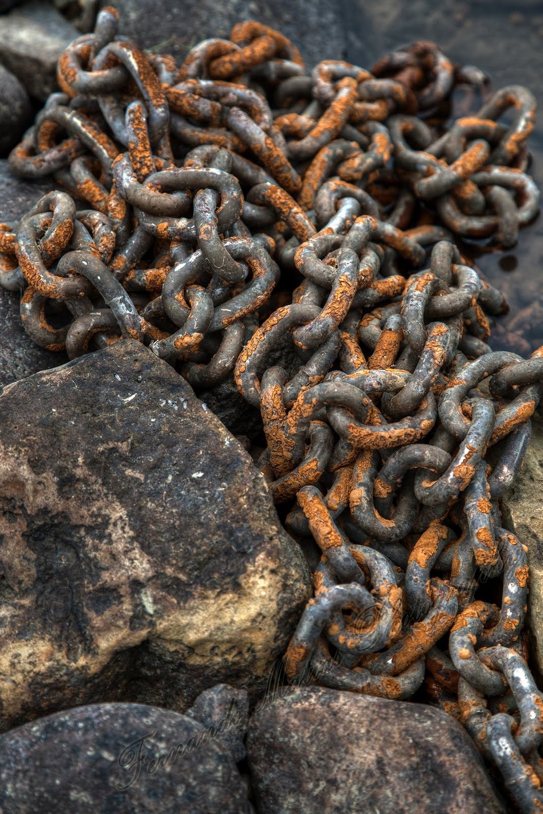 Fernando Matias Photography - Ottawa Ontario - Ottawa Wedding ...