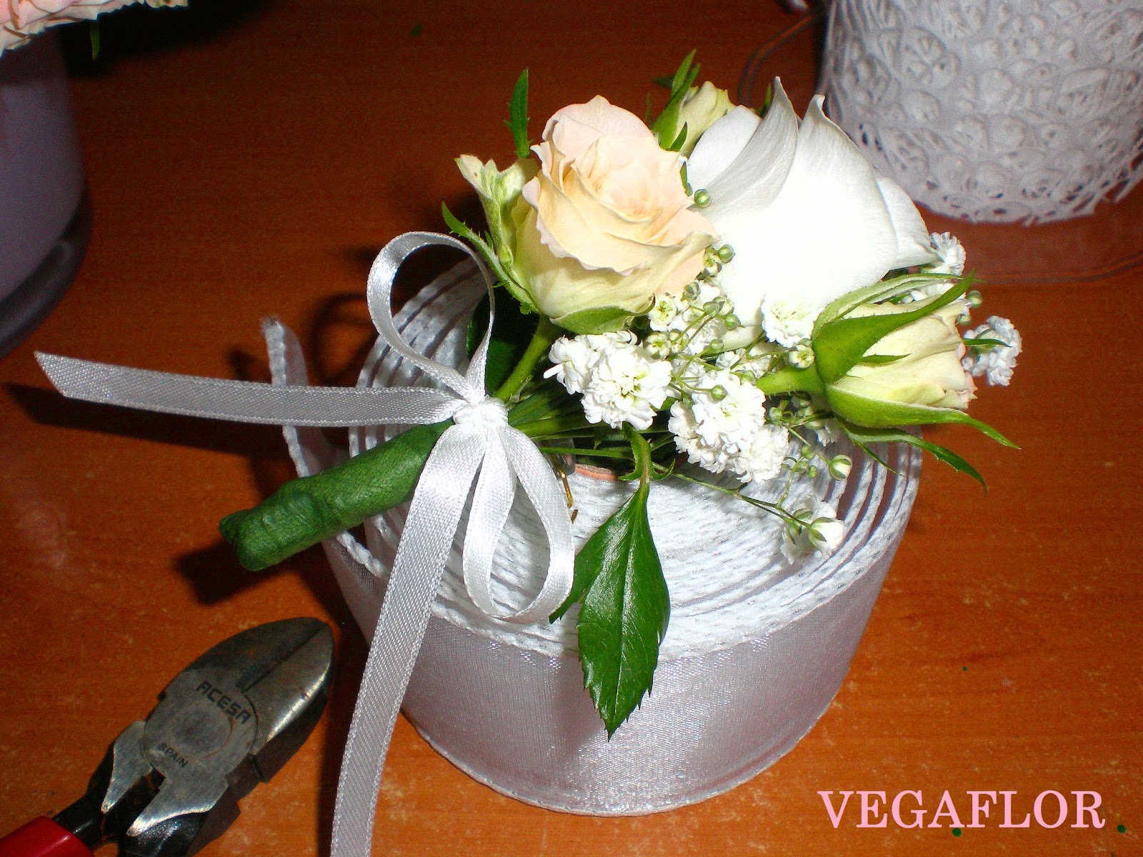 VEGAFLOR