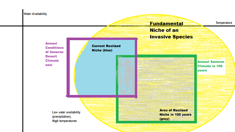 Climate Change and Tolerance Mechanisms in the Sonoran Desert ...