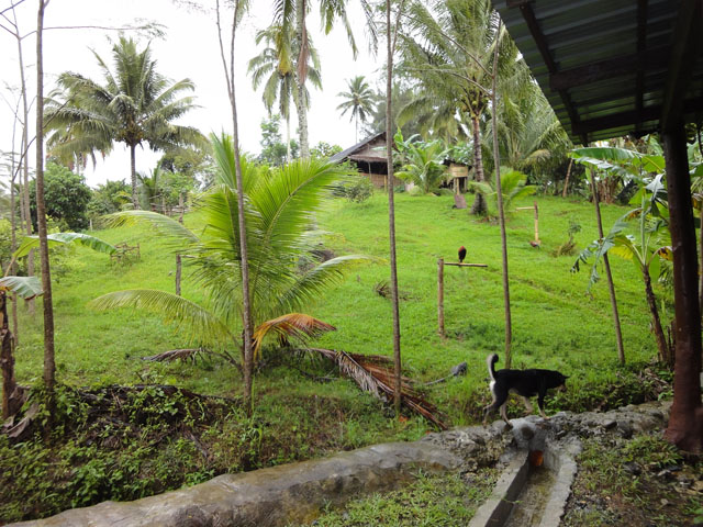 Davao City Homes For Sale: 4.6 Hectares Mountain Resort in Calinan ...