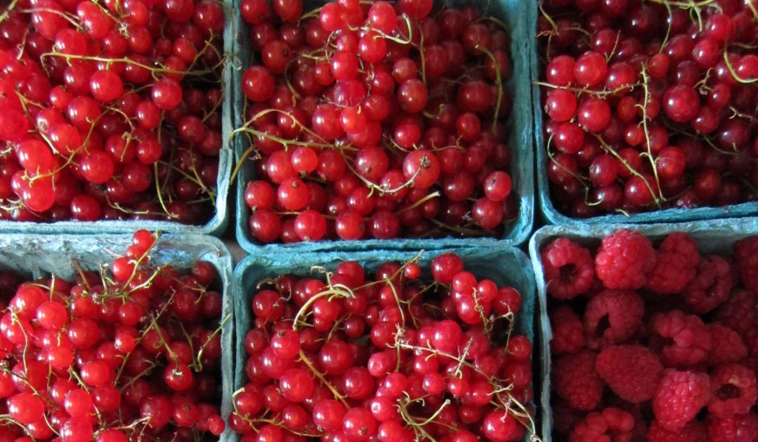 66 Square Feet (Plus): Red Fruit