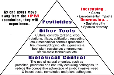 Volkan Ziraat ilaçlama: Pest Control Procedures Manual Cocroach And Rodents