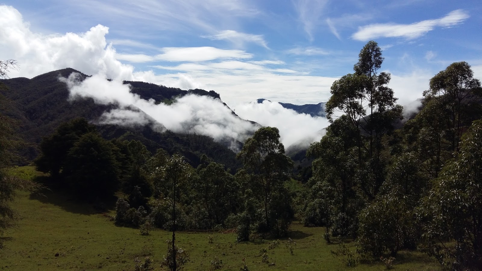 Laura in Dili: Eh, Foho Ramelau...