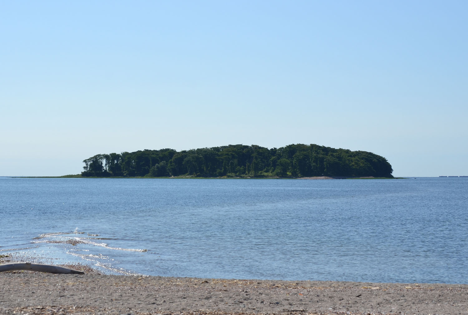 Woods Walks and Wildlife: Seaside Adventures with Birds in Siver Sands ...