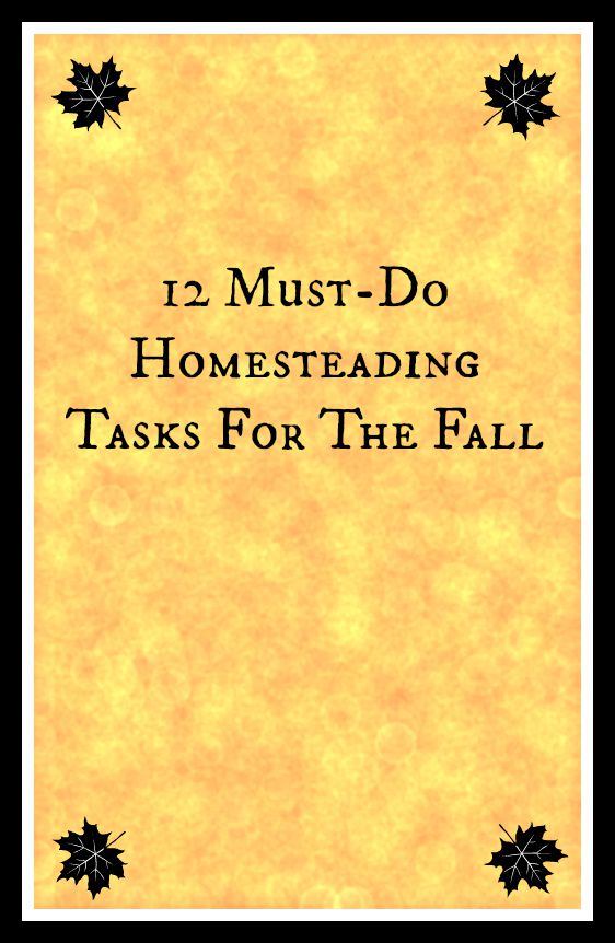 12 Must-Do Homesteading Tasks For The Fall - Living Life in Rural Iowa