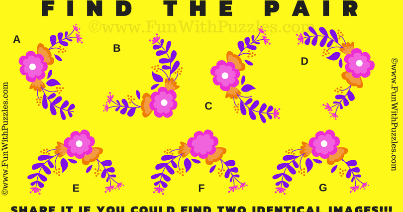 Visual Puzzle Challenge: Find the Matching Pairs!
