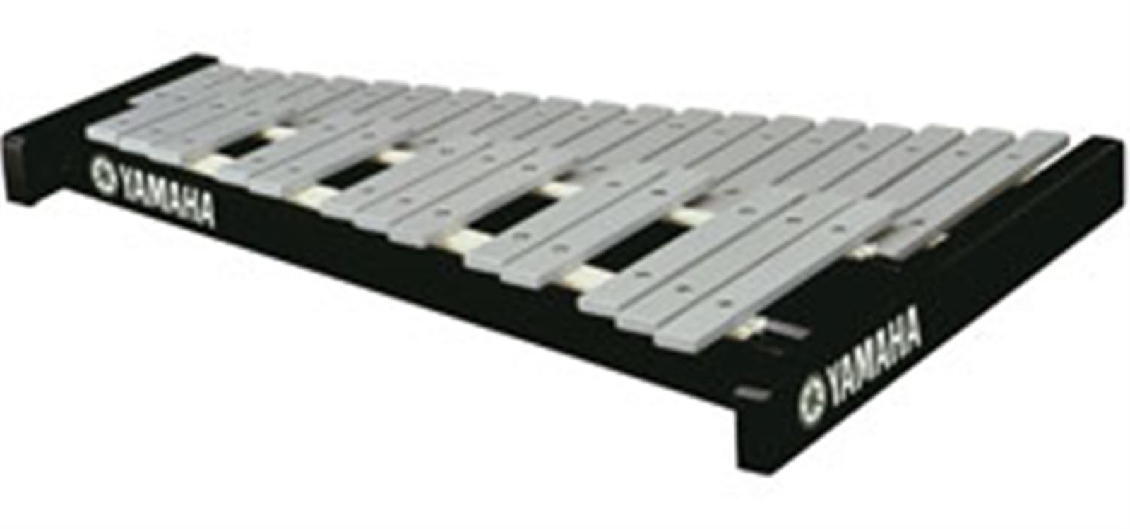 Bellyra ~ All About Marching Band