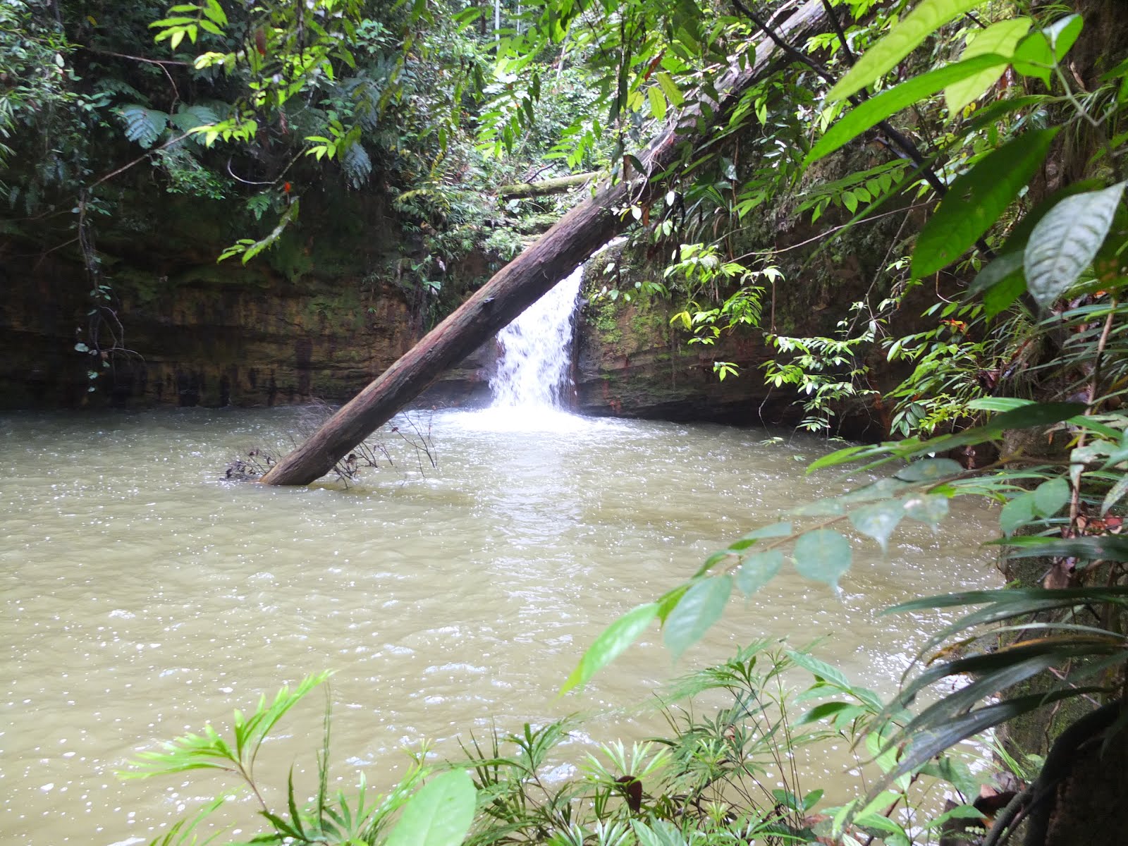 Come to Miri: Tengkorong Waterfall @ Lambir National Park, Miri