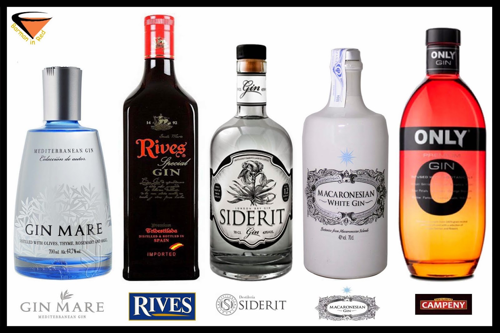 10 mejores ginebras Españolas