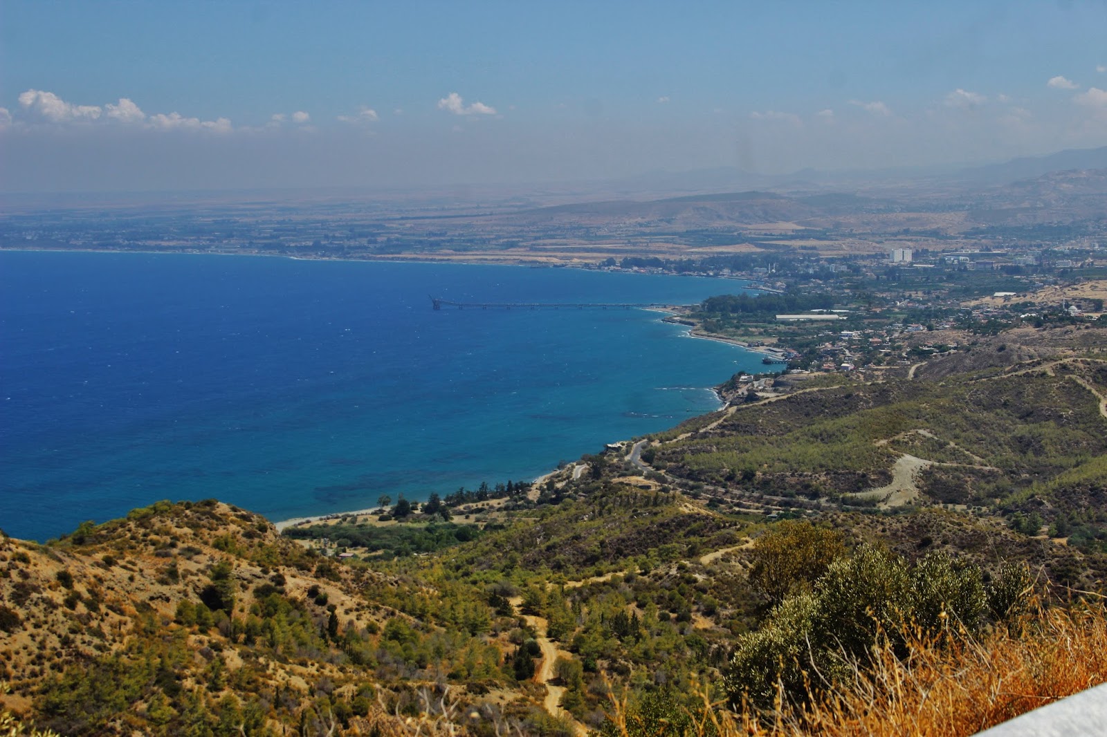 Biodiversity of Cyprus by NGO Protection of the Natural Heritage and ...